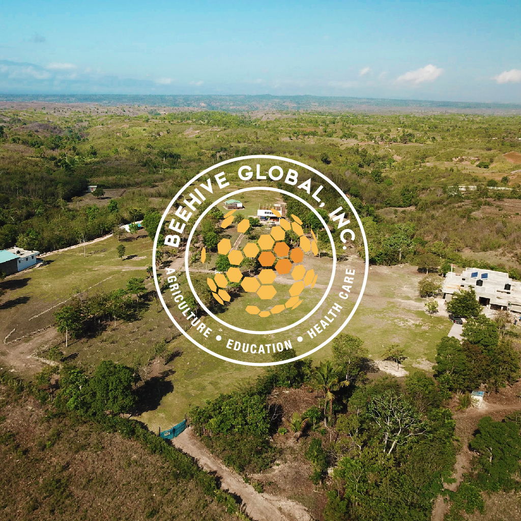 About – Beehive Global